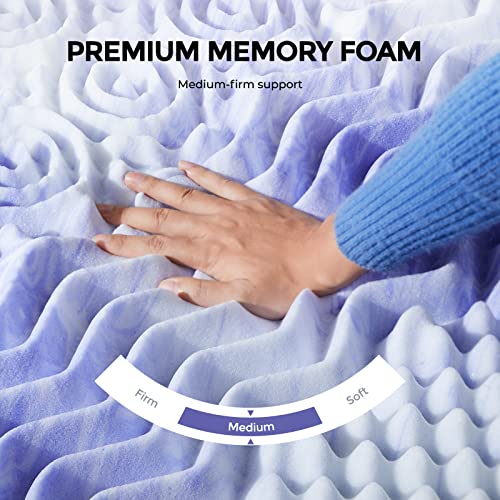 Dreamsmith 3 Inch 7-Zone Queen Memory Foam Mattress Topper, Cooling Gel Infused Foam Mattress Topper Queen for Back Pain, CertiPUR-US Certified