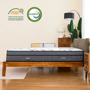 subrtex 10 Inch Hybrid Mattress Queen, Gel Memory Foam and Individual Pocket Innerspring Mattress Bed in a Box, Made in USA, CertiPUR-US, Medium Firm Mattress for Silent Sleep & Pressure Relief Grey