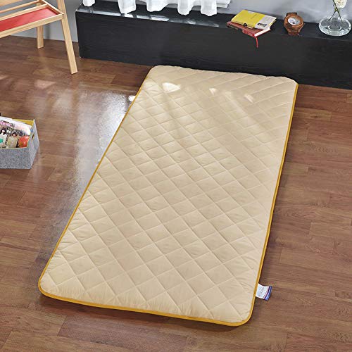 WJH Super Soft Mattress, Tatami Floor Mat, Japanese Futon Double Collapsible Breathable Comfortable Sleeping Pad -G 120x200cm(47x79inch)