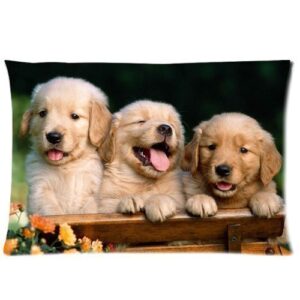 tslook 60x80 blankets 3 cute golden retrievers, fogs, wildflowers