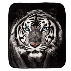 northwest white tiger stare raschel throw blanket, 50" x 60"