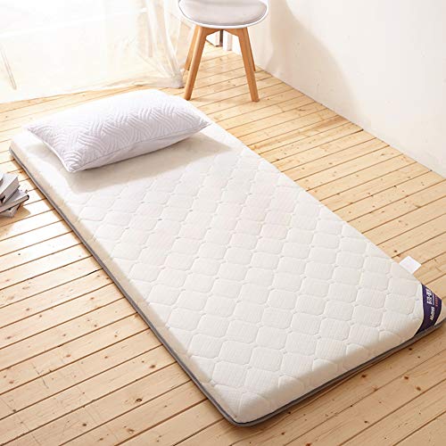 Soft Japanese Quilting Futon Mattresses, Thicken 10cm Tatami Mattress Foldable Floor Mat, Four Seasons Sleeping Pad-White Full: 120x200cm