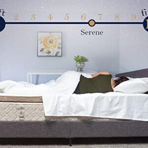 NBD Corp Serene Series 14” Dual-Firmness Hybrid Mattress by WonderDreamz with Luxury Memory Foam Pillow Top & Individually Encased Pocket Springs. CertiPur-US Certified w/Sleep Trial (Twin_XL)