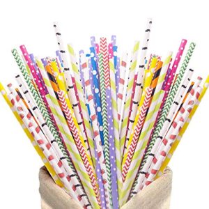 HAKACC 200 Pack Biodegradable Paper Straws for Drinking, 10 Different Pattern Party Straws for Birthday Wedding and Holiday DIY Decorations