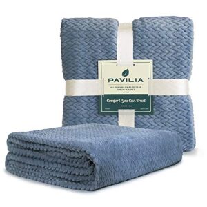 PAVILIA Soft Flannel Fleece Blanket Throw Dusty Blue, Textured Decorative Velvet Blanket for Couch Sofa Bed, Fuzzy Plush Cozy Warm Lightweight Microfiber Throw, Jacquard Weave Leaves Pattern 50x60