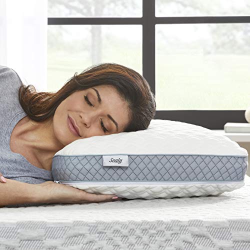 Sealy 3-Inch SealyChill Gel Memory Foam Full Mattress Topper + Molded Memory Foam Pillow Set