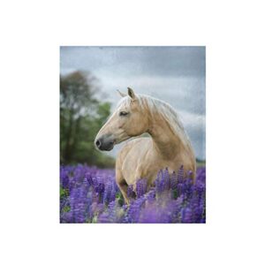 blueangle beautiful palomino horse print velvet blanket throw size luxury bed blanket lightweight fuzzy soft blanket microfiber, 50 x 60 inches