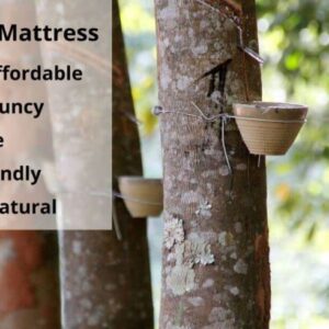 100% Natural Latex Mattress Topper - Medium - 3" King