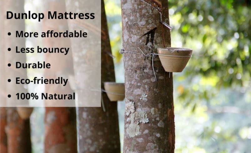 100% Natural Latex Mattress Topper - Medium - 3" King