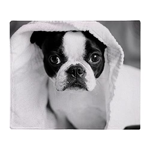 CafePress Boston Terrier Throw Blanket Super Soft Fleece Plush Throw Blanket, 60"x50"