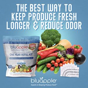 Bluapple 1-Year Carbon Refill Kit - Keep Fruits & Vegetables Fresh Longer & Help Absorb Odors, 8 Packets with Carbon, Fruit & Vegetable Storage, Ethylene Gas Absorber for Fridge, Made in USA