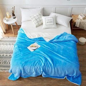 SONORO KATE Sherpa Fleece Blanket King Size - Luxurious Double Reversible Super Soft Thick Fuzzy Plush，Warm Cozy Fluffy Couch Throw Velvet King Blanket for Bed (Light Blue, King(104"x90"))