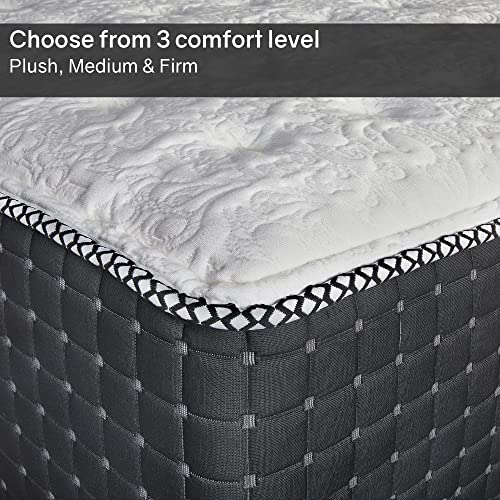 Treaton 14-Inch Luxury Foam Encased Firm Hybrid Mattress, Pocket Coil Springs for Motion Isolation & Pressure Relief, Strong Edge Support, High Density Foam, 2" Fluffy Quilted Top, King, Black