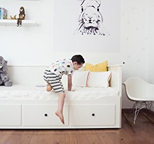 Nook Sleep Twin Mattress (Cloud) - CertiPUR-US Foam Big Kid Mattress - Non-Toxic - 39x75x6