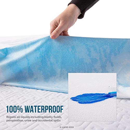 LUCID 3 Inch Bamboo Charcoal Memory Foam Mattress Topper - Queen & Premium Hypoallergenic 100% Waterproof Mattress Protector - Universal Fit, Cotton Terry Top, Queen