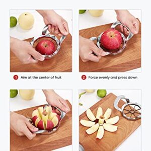 Greatly Quicken Slicing Apple Cutter Slicer, HEAVY DUTY Apple Corer Divider 8-Blade Stainless Steel TREBLEWIND