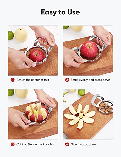 Greatly Quicken Slicing Apple Cutter Slicer, HEAVY DUTY Apple Corer Divider 8-Blade Stainless Steel TREBLEWIND