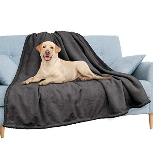 PAVILIA Waterproof Blanket for Couch, Sofa | Waterproof Dog Blanket for Large Dog, Puppy, Cat | Pet Blanket Protector | Plush Soft Warm Fuzzy Sherpa Blanket Bed Throw, Dark Grey, 60x80