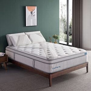 14 inch queen mattress, lechepus mdi memory foam hybrid mattresses with individual pocket spring, medium plush comfy mattress in a box for cool sleep & pressure relief