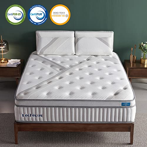 14 Inch Queen Mattress, Lechepus MDI Memory Foam Hybrid Mattresses with Individual Pocket Spring, Medium Plush Comfy Mattress in a Box for Cool Sleep & Pressure Relief