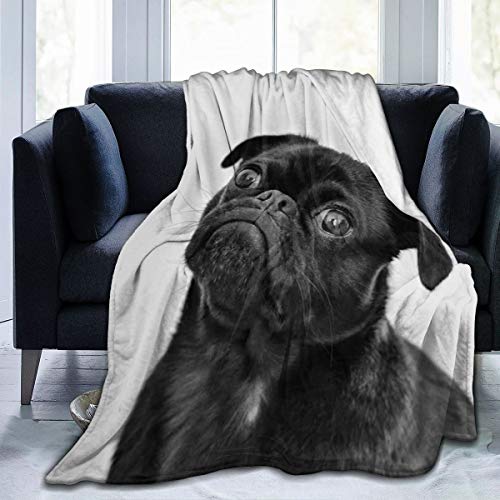 Cute Black Pug Dog Printed Blanket Throw Lightweight Super Soft Micro Fleece Throw Blankets Fit Couch Bed Living Room Sofa Chair 50"X40"