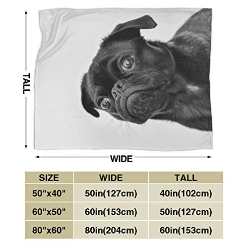 Cute Black Pug Dog Printed Blanket Throw Lightweight Super Soft Micro Fleece Throw Blankets Fit Couch Bed Living Room Sofa Chair 50"X40"