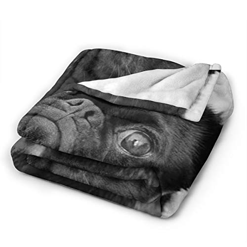 Cute Black Pug Dog Printed Blanket Throw Lightweight Super Soft Micro Fleece Throw Blankets Fit Couch Bed Living Room Sofa Chair 50"X40"