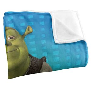 Trevco Shrek Pals Silky Touch Super Soft Throw Blanket 36" x 58"