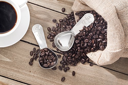 Apace Living Coffee Scoop (Set of 2) - 2 Tablespoon (Tbsp) - The Best Stainless Steel Measuring Spoons for Coffee, Tea, and More