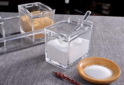 Yesland Clear Seasoning Rack Spice Pots - 4 Piece Storage Container Condiment Jars - Acrylic Seasoning Box, Cruet with Cover and Spoon