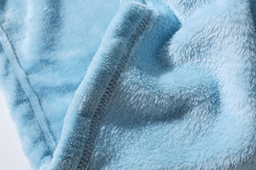 Flannel Fleece Throw Blanket for Couch Bed or Sofa Lightweight Super Soft for All Season (Sky Blue,50x60inch)