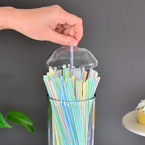 Youngever Straw Dispenser, Plastic Straw Holder with Lid, Drinking Straw Container with Lid