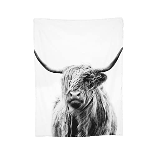 Ultra Soft Highland Cow Blanket, Portrait of Cattle Cow Throw Blanket, Warm Cozy Flannel Throw for All Seasons for Couch Bed Sofa 50"x40"