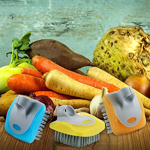 3 Pieces Vegetable Brush Potato Scrubber Brush Vegetable Brush Scrubber for Food Flexible Bristles Kitchen Brush for Fruits, Potatoes, Carrots Kitchen Gadgets Set in Random Color