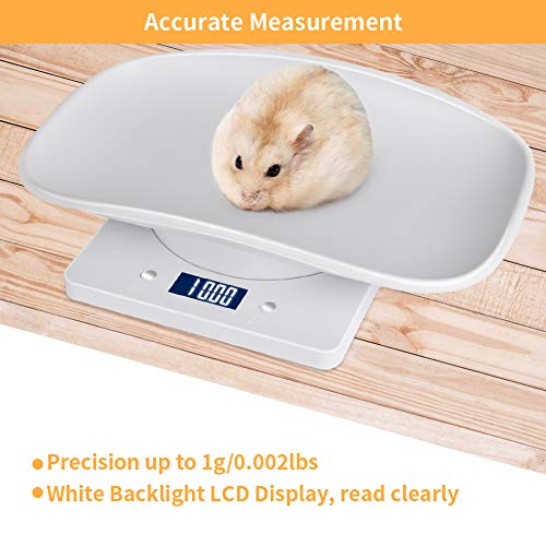 WIOR Food Scale Grams and Ounces, 22lb/10kg Digital Scale, Kitchen Scale with 1g/0.1oZ Precise Graduation, LCD Display Digital Food Scale for Kitchen, Baking, Cooking, Ingredients, Jewellery, Pet