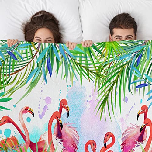 Mimihome Flamingo Blanket,Tropical Leaves Flamingos Throw Blanket Warm Fleece Blanket for Sofa Couch Bed Chair,60x50 Inches, Pink Green White