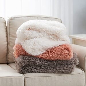 Cozy Bliss Super Soft Fuzzy Faux Fur Throw Blanket for Couch 50"x60", Long Hair Fluffy Shaggy Throw Blanket, Luxury Plush Decorative Throw Blanket for Sofa Bed (50" x 60", Ivory)