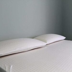 Latex Mattress Topper - 4 inch Organic Latex with Cover (Soft/Medium Flippable) (Twin)