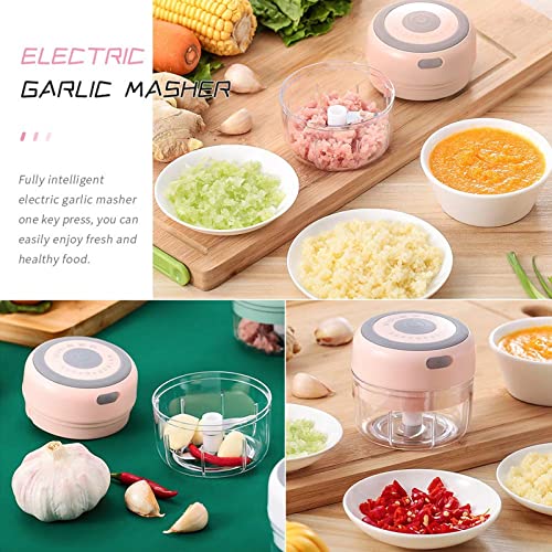 Electric Mini Garlic Chopper, 100ML USB Mini Food Chopper Garlic Mincer, Vegetable Chopper, Onion Chopper, Portable Small Food Processor for Garlic, Ginger, Chili, Vegetables