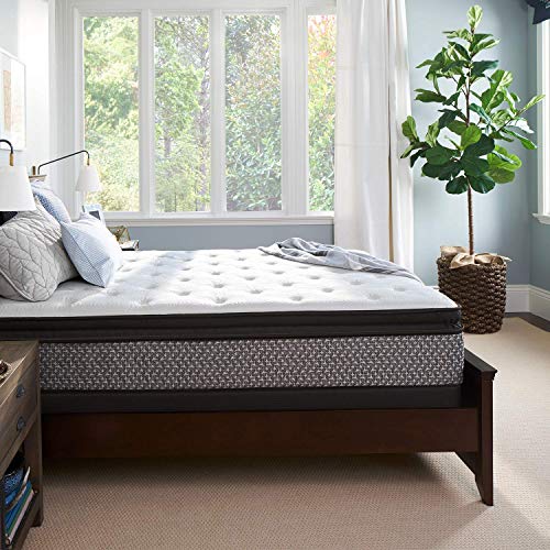 Sealy Essentials Spring Winter Green Euro Pillowtop Bed Mattress Conventional, Twin XL, White