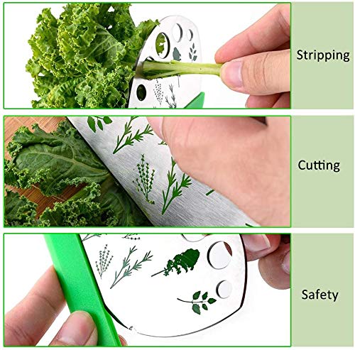 Herb Stripper, Jiaedge Green 9 holes Stainless Steel Kitchen Herb Leaf Stripping Tool, Metal Herb Pealer Suit for Kale, Collard Greens, Thyme, Basil, Rosemary Stripper