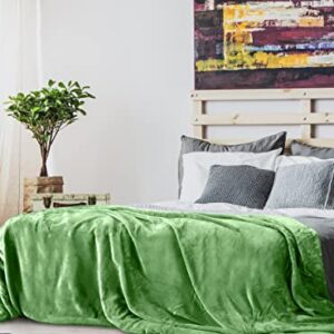 Hannah Linen King Fleece Blanket - Super Soft Plush Throw Blanket for Bed - Warm & Cozy Large Microfiber Throw Blanket for Sofa & Couch (108 x 90, Green)