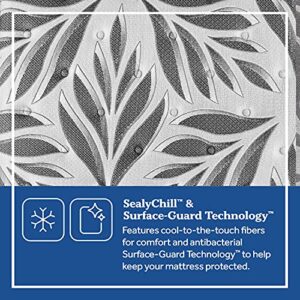 Sealy Posturepedic Plus, Tight Top 15 Plush Ultra Soft Mattress with Surface-Guard and 5-Inch Foundation, Full, Grey