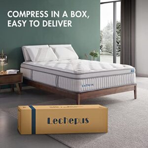 Cal King Size Mattress, Lechepus 14 Inch Hybrid Memory Foam Mattresses with Individual Pocket Spring, Plush Breathable Comfortable Mattress for Cool Sleep & Pressure Relief Certified