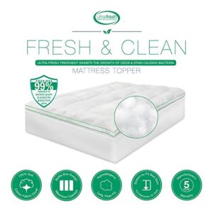 BioPEDIC Clean 2.5-Inch Fiberfill Mattress Topper Odor and Anti-Stain Ultra-Fresh Treated Fabric, Queen, White