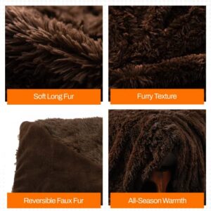 Cheer Collection Long Shaggy Hair Throw Blanket - Ultra Soft and Fuzzy - 50" x 60" inches, Chocolate