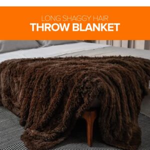 Cheer Collection Long Shaggy Hair Throw Blanket - Ultra Soft and Fuzzy - 50" x 60" inches, Chocolate