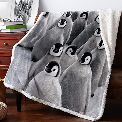 LUSWEET Sherpa Fleece Blanket,Penguins Family Cute Animals Bed Blanket Soft Cozy Luxury Blanket 40"x50",Fuzzy Thick Reversible Warm Fluffy Plush Microfiber Throw Blanket for Couch Bed Sofa