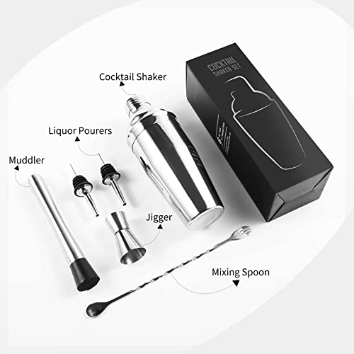 Cocktail Shaker Set, 6-Piece Bartender Kit Premium Shakers Bartending: Martini Shaker Measuring Jigger Mixing Spoon Muddler 2 Pourers Bar Tools Set with Built-in Bartender Strainer for Drink Shaker