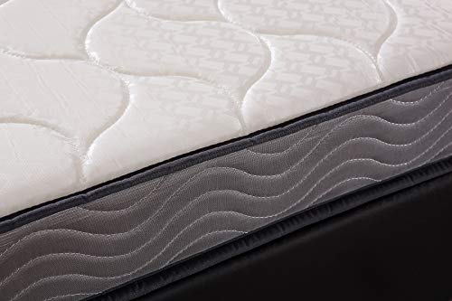 Viscologic SAVY Deep Feel High Density Foam Mattress for Guest Beds, Bunk Beds (Twin)